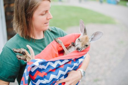 Pine Grove Zoo, Little Falls, MN | The Second Oldest Zoo in Minnesota