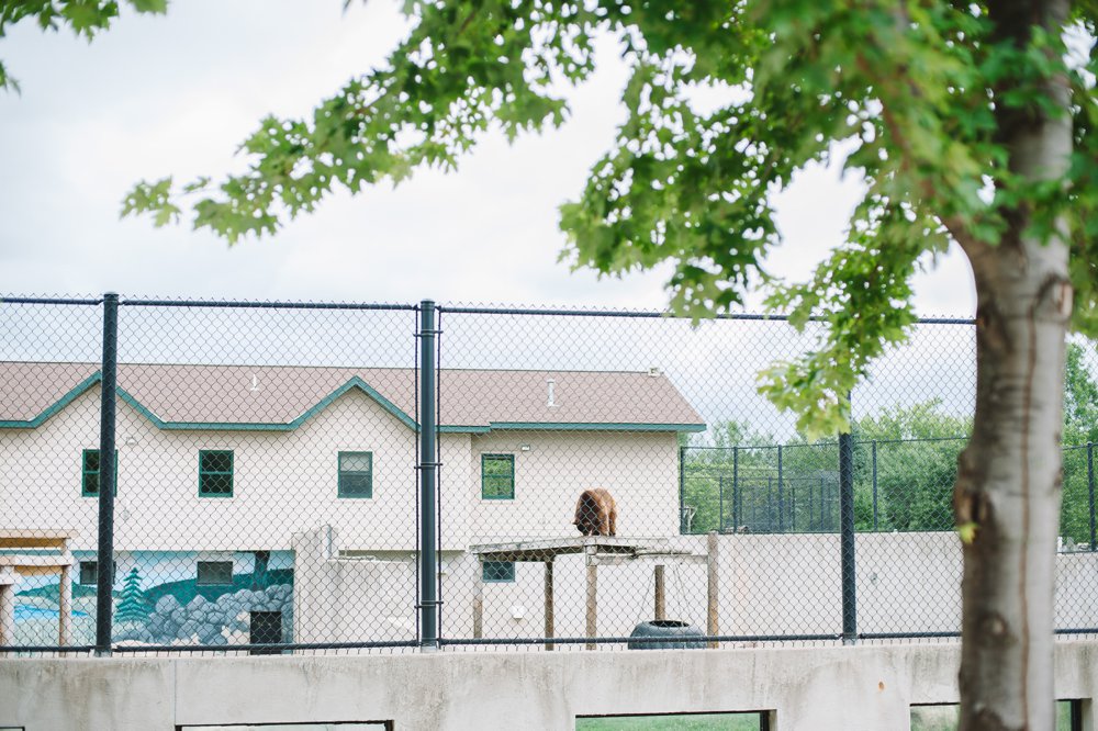 Pine Grove Zoo, Little Falls, MN | The Second Oldest Zoo in Minnesota